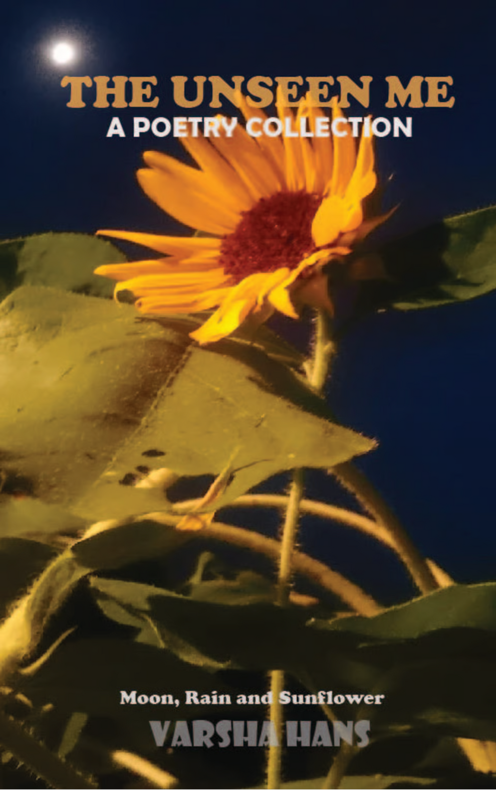 The Unseen Me – BookLeaf Publishing Bookstore